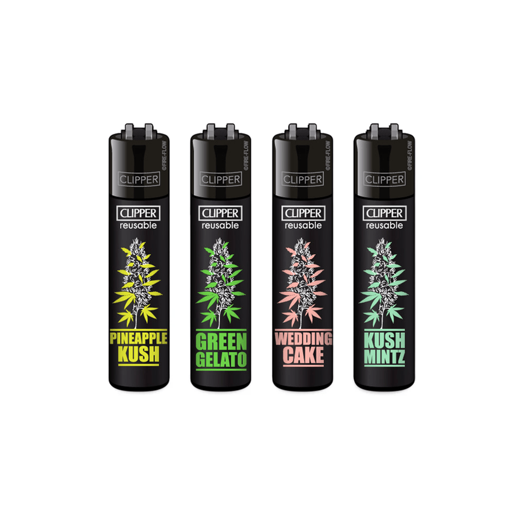 Bricheta 'CLIPPER' Plantz 6 – LegalizeItPlus.ro